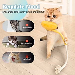 Gochanmon Cat Toys, Rechargeable Flapping Bat Catnip Toy,Touch Activated Kitten Toys, Lifelike Bat Chirping Interactive Cat Toys for Indoor Cats,Kitty Toys Cat Kicker Toys for All Breeds…