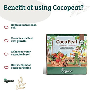 Cocopeat Brick 5 Kg Block for Gardening & Plants, Expands into Coco Peat Powder