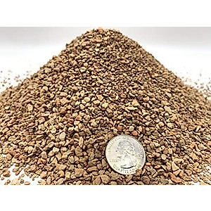 Calcined Clay for Bonsai, Succulent, Cactus | 2 Quarts Bag | 1/8” Particle Size | The Bonsai Supply