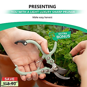 Raised Garden Bed Tomato Planter Trellis for Garden Planter for Tomato Pots for Growing Tomatoes Planter Box Outdoor Self Watering Metal Tube Trellis