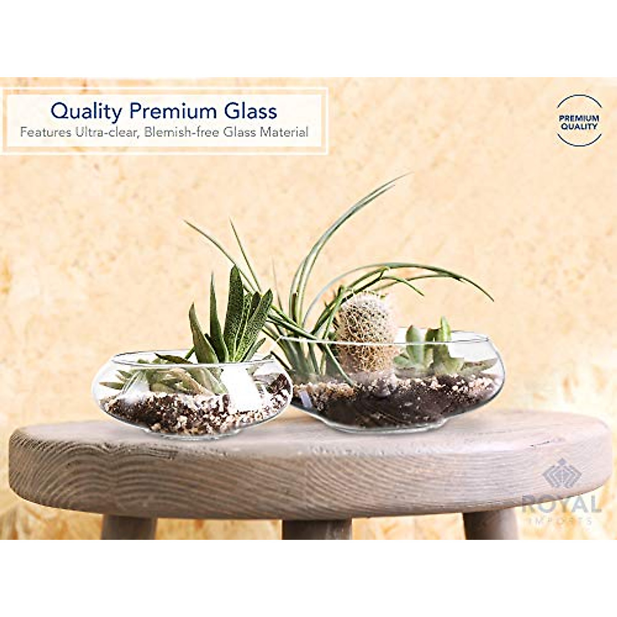 Royal Imports Flower Glass Vase, Bowl Terrarium Succulent Planter, Air Plant Hydroponic Display, Floating Candles Decorative Centerpiece Floral Container for Home or Wedding Set of 2, Clear