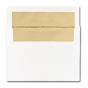 CEO Cards - Foil Stamped Thanksgiving Greeting Cards (Gold Border Leaves), 5.625x7.875 Inches, 25 Cards & 26 White with Gold Foil Lined Envelopes (TH1801)