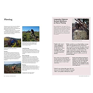 The World of Natural Wine: What It Is, Who Makes It, and Why It Matters