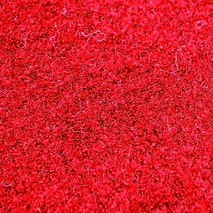 FANMATS NHL Boston Bruins Nylon Face Football Field Runner , 30"x72"