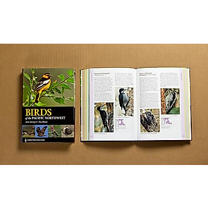 Birds of the Pacific Northwest (A Timber Press Field Guide)