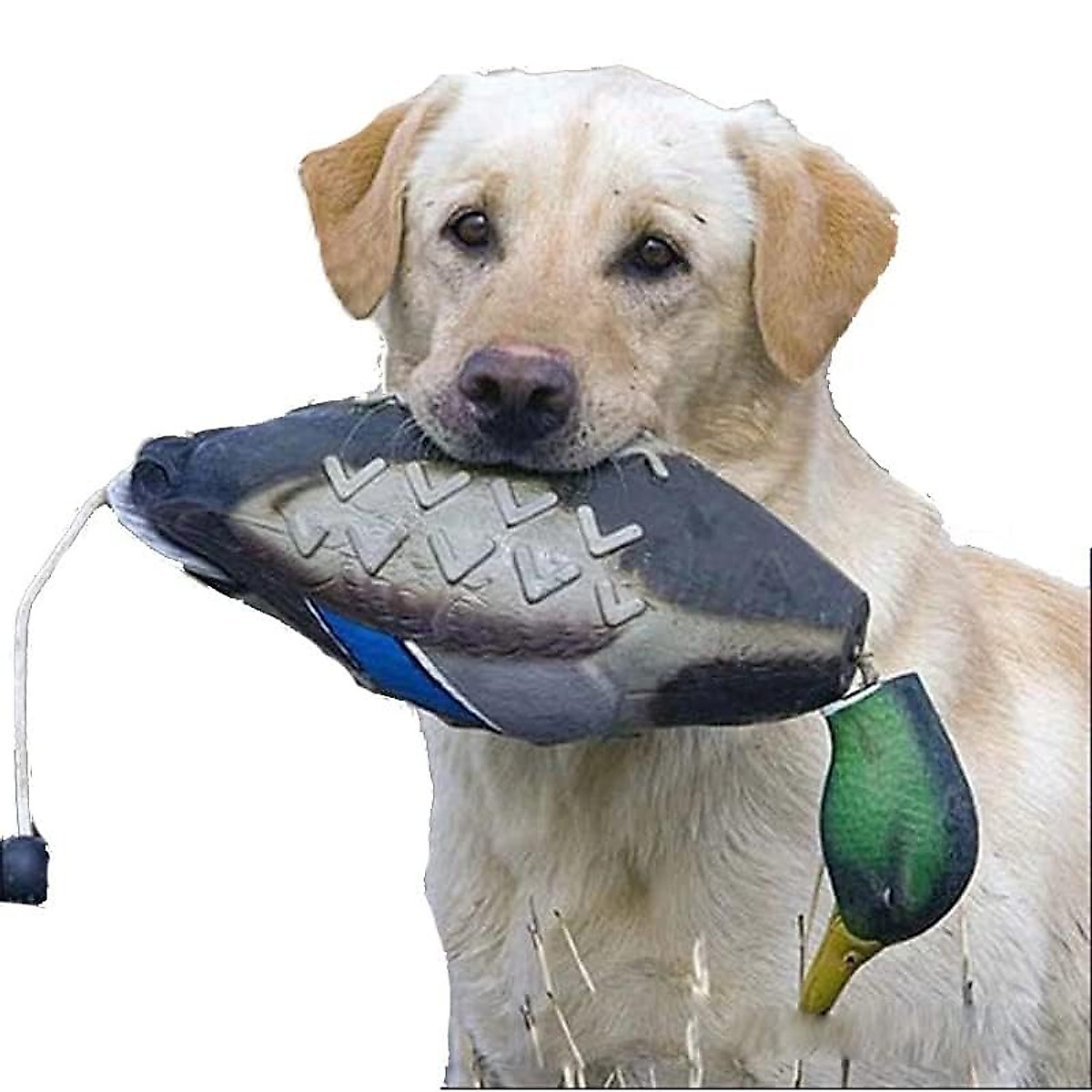 SKSK Duck Bumper Toy for Training Hunting Dogs The Bird Dummy Teaches Mallard and Waterfowl Game Retrieval for Puppies or Hunting Dog (1)
