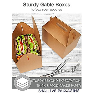 Shallive 15 Pcs Large Treat Boxes 9x6x6 Inch Brown Gable Gift Boxes with Handle Kraft Lunch Boxes Recycled Paper Gift Bags Take Out Cookie Boxes Welcome Boxes Candy Bags For Wedding Baby Shower Birthday Party Supplies