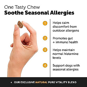 Pet Honesty Dog Allergy Relief Immunity - Probiotics for Dogs, Seasonal Allergies, Skin and Coat Supplement, Dog Allergy Chews, Intermittent Itchiness, Allergy Support Supplement - Salmon (90 Ct)