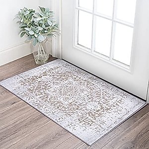 RoomTalks Vintage Boho Persian Oriental Bathroom Rugs Kitchen Rug Non-Slip Machine Washable, Flatweave Ultra Thin 2x3 Throw Rugs Accent Small Area Rug Entryway Indoor Front Door Mat