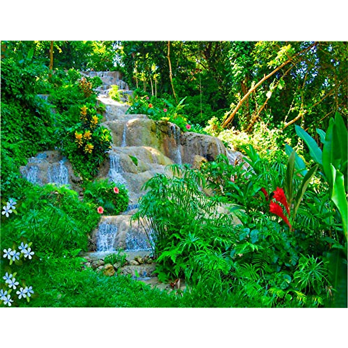 imPUZZibLE Puzzles - Jamaica Waterfall - Difficult 1000 Piece Jigsaw Puzzle for Adults, Teens, Kids - Hard - Best Pieces for Adult and Kids - Hobbies - Bucketlist Locations