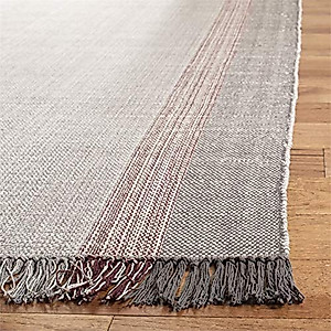 SAFAVIEH Montauk Collection 8' x 10' Wine/Grey MTK301S Handmade Flatweave Boho Farmhouse Cotton Stripe Fringe Living Room Dining Bedroom Area Rug