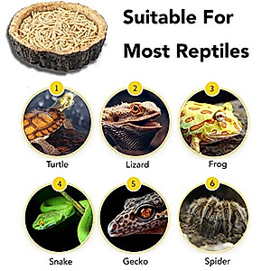 CalPalmy 2 Pack Reptile Food Bowls - Reptile Water and Food Bowls, Novelty Food Bowl for Lizards, Young Bearded Dragons, Small Snakes and More - Made from BPA-Free Plastic