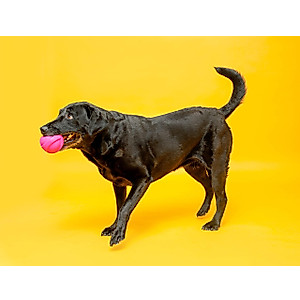 Hartz DuraPlay Ball Squeaky Latex Dog Toy, Neon Green, Neon Pink & Neon Orange, Large 3 Count Pack