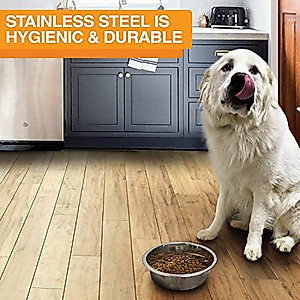 Neater Pet Brands Stainless Steel Dog and Cat Bowls (2 Pack) Neater Feeder Deluxe or Express Extra Replacement Bowl (Metal Food and Water Dish) (7 Cup)