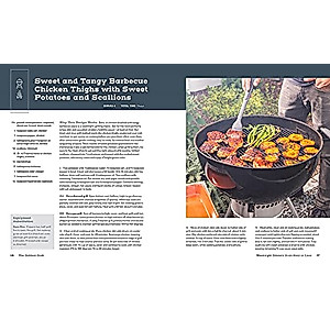 The Outdoor Cook: How to Cook Anything Outside Using Your Grill