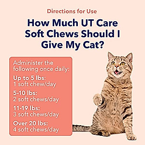 Vets Preferred Cat Urinary Tract Chews – UT Care Health Soft Chews – Supports Healthy Urinary Tract – Promotes Normal Bladder and Kidney Function - Chicken Flavored - for All Cat Sizes - 60 Count