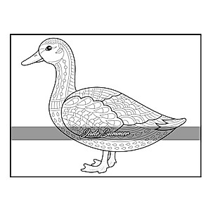 100 Animals: An Adult Coloring Book with Lions, Elephants, Owls, Horses, Dogs, Cats, and Many More!