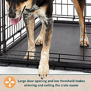 MidWest Homes for Pets Large Dog Crate | MidWest Life Stages Folding Metal Dog Crate | Divider Panel, Floor Protecting Feet, Leak-Proof Dog Pan | 42L x 28W x 31H Inches, Large Dog