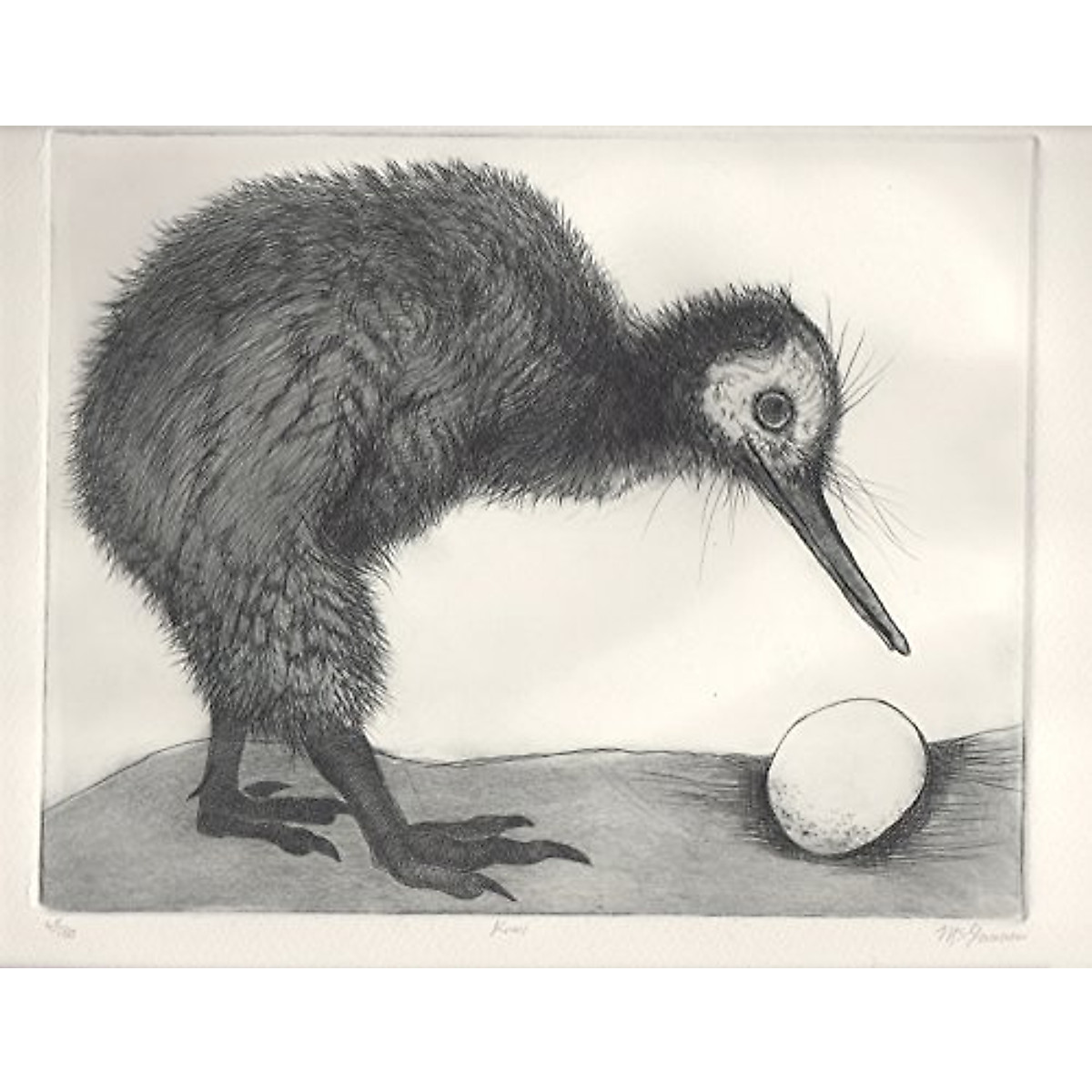 Kiwi
