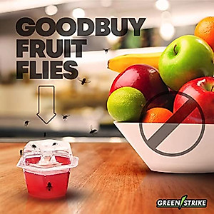 GREENSTRIKE 2-PACK Premium Fruit Fly Traps For Indoors | 2 Pre-Filled Lures Effectively Trap Flies Indoors | Easy Effective and Safe to Use | Food-Based Lure/Bait Catcher | Red