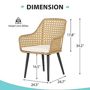 Verano Garden Patio Modern Dining Chairs Set of 2, Outdoor Rattan Dining Chair with Cushion and Armrest, Rust-Resistant Steel Frame Dining Chair Set for Yard, Porch, Deck, Lawn, Patio