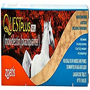Zoetis Equine Quest Plus Gel Dewormer to Control Both Encysted Small Strongyles and Tapeworms in a Single Dose!