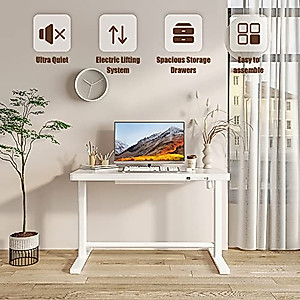 AITERMINAL Electric Standing Desk with Drawers, Height Adjustable Sit Stand Desk with Drawer, Home Office Desk Storage & USB Ports, 45 x 23 Inch White Desktop/White Frame