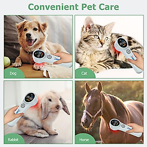 Dawfek Laser Therapy for Dogs, 4x980nm+4x810nm+16x660nm, Cold Laser Therapy Device for Horses, Veterinary Laser Therapy Machine, Pet Cold Laser Therapy Device, Laser Treatment for Animals at Home