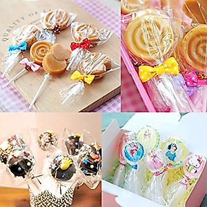 Augshy Cake Pop Bags, 300 Pcs Cellophane Treat Bags 3x5 with 300 Twist Ties - 1.4 mils Thickness OPP Plastic Bags for Lollipop Candy Chocolate Cookie Wrapping Buffet