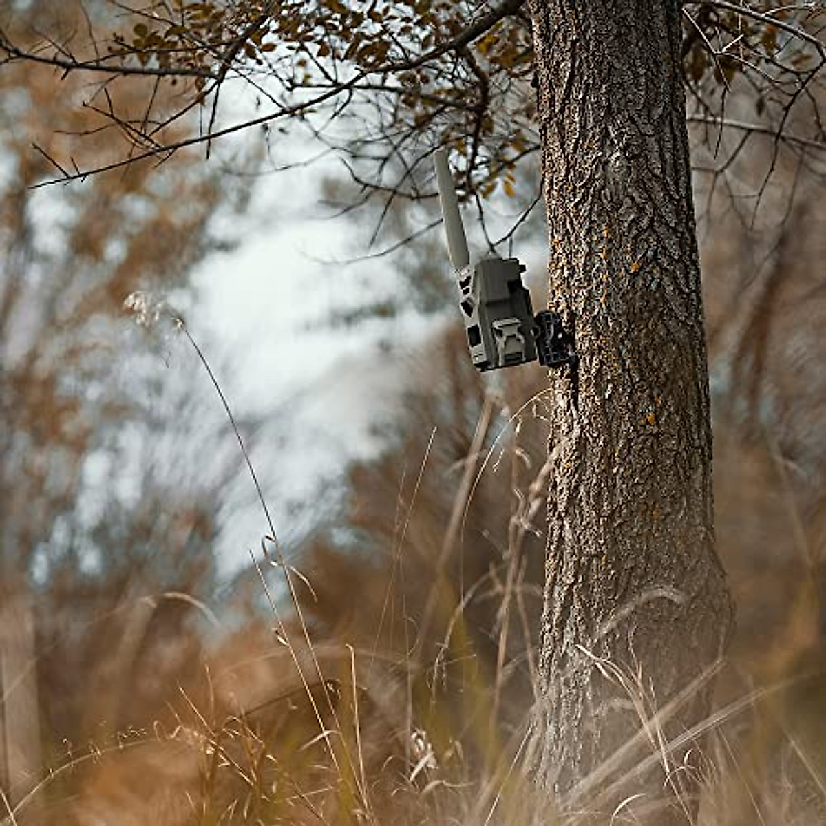 SPYPOINT MA-500 Fully Adjustable Trail Camera Mount - Double Swivel Tilt, Pan Tilt Game Camera Mount for Positioning Cell Cameras for Hunting ¼-20 Tripod Mount, Wood Screw Anchor Cams Mounting