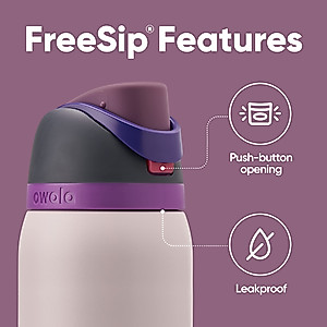 Owala 24oz Insulated Stainless Steel Tumbler and Water Bottle Bundle with Straw and Spill Resistant Lids, Grey/White and Dreamy Field