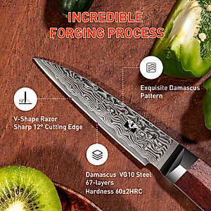FUJUNI Damascus Paring Knife 3.5-inch Fruit and Vegetable Paring Knife 67-Layer Damascus with VG10 Cutting Core Peeling Knife with Full Tang Ergonomic Natural Wood Handle for Peeling