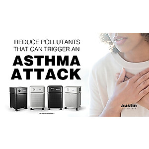 Austin Air HealthMate Standard Air Purifier (B400A1) Sandstone
