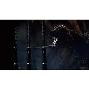 Bloodborne PS4 Game of the Year Edition