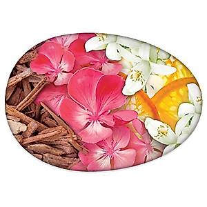 Caress Beauty Bar Soap For Women, Daily Silk With Silk Extract and Floral Oil Essence Moisturizing Body Soap for Silky, Soft Skin, 3.75 oz, 2 Bath Bars