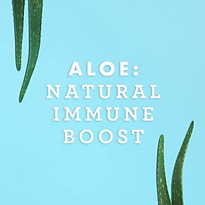 Lily Of The Desert Aloe Vera Juice Drink, Inner Fillet, Vegan Dietary & Immune Support, Gluten Free Liquid Digestive Aid, No Water Added, 16 Fl Oz