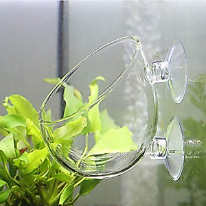 Hamiledyi Aquarium Plant Holder,Crystal Glass Aquatic Decor Plant Cup Pot with Suction Cups for Fish Tank Aquarium Aquascape Decoration,4 Pack