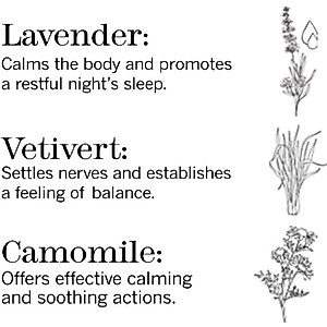 thisworks deep sleep shower gel: Calms the Mind and Protects the Skin, 8.4 fl oz (250ml)