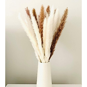30 Pcs White Pampas Grass ,17 inch/45 cm Natural Dried Pampas Grass Branches Decor for Home Kitchen Garden Party Photographing Flower Arrangement Vase Decor（White