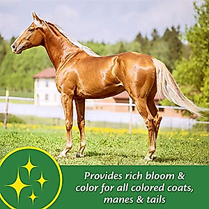 Farnam Super 14 Healthy Skin & Coat Supplement for Horses, Keeps Coats Shiny & Gleaming Year-Round 5 Pound, 80 Day Supply