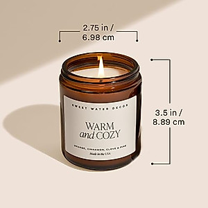 Sweet Water Decor Candle | Rose, Wood, Amber, Vanilla, & Musk Scented Soy Wax Candle for Home | 9oz Amber Jar, 40 Hour Burn Time, Made in the USA (Sandalwood Rose)