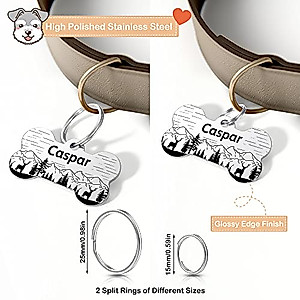 GISUERY Dog Tags Stainless Steel Pet Tags Personalized Double-Sided Engraved Dog and Cat Tags Custom Pet Name ID Tag, Various Design Options (Bone)