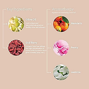 Pureology Strength Cure Superfood Treatment | For Damaged, Color-Treated Hair | Strengthening Leave-in Treatment | Silicone-Free | Vegan | Updated Packaging | 6.8 Fl. Oz. |