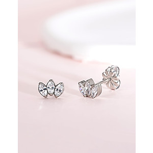 Limerencia Hypoallergenic G23 Pure Titanium Earrings | Crown Cubic Zirconia | F136 Implant Grade Piercing Studs| Suitable for Sensitive Ears Delicate Jewelry (White)
