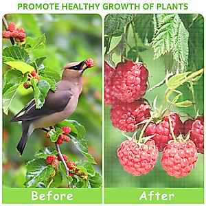 MIXC 6 Packs 3 Size Insect Netting Bag, Garden Bird Barrier Mesh Covers Bags With Drawstring, Bug Netting Plant Protection Covers Bags For Blueberry Tomato Vegetable Form Cicadas Bird Squirrels Eating