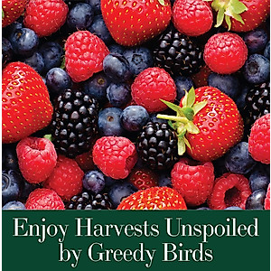 Dalen Bird X Protective Mesh Netting - Keep Birds and Pests Away from Your Garden – Non Toxic - Made in The USA - 14' x 14'