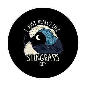 Stingray Shark Lover Gift I Just Really Like Stingrays OK?