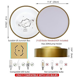 erpymi Modern Gold Flush Mount Ceiling Light, 2-Lights Round Ceiling Light, Minimalistic Ceiling Lamp Acrylic Shade Lighting Fixture for Bedroom Laundry Room Bathroom Hallway(11.8 Inch)