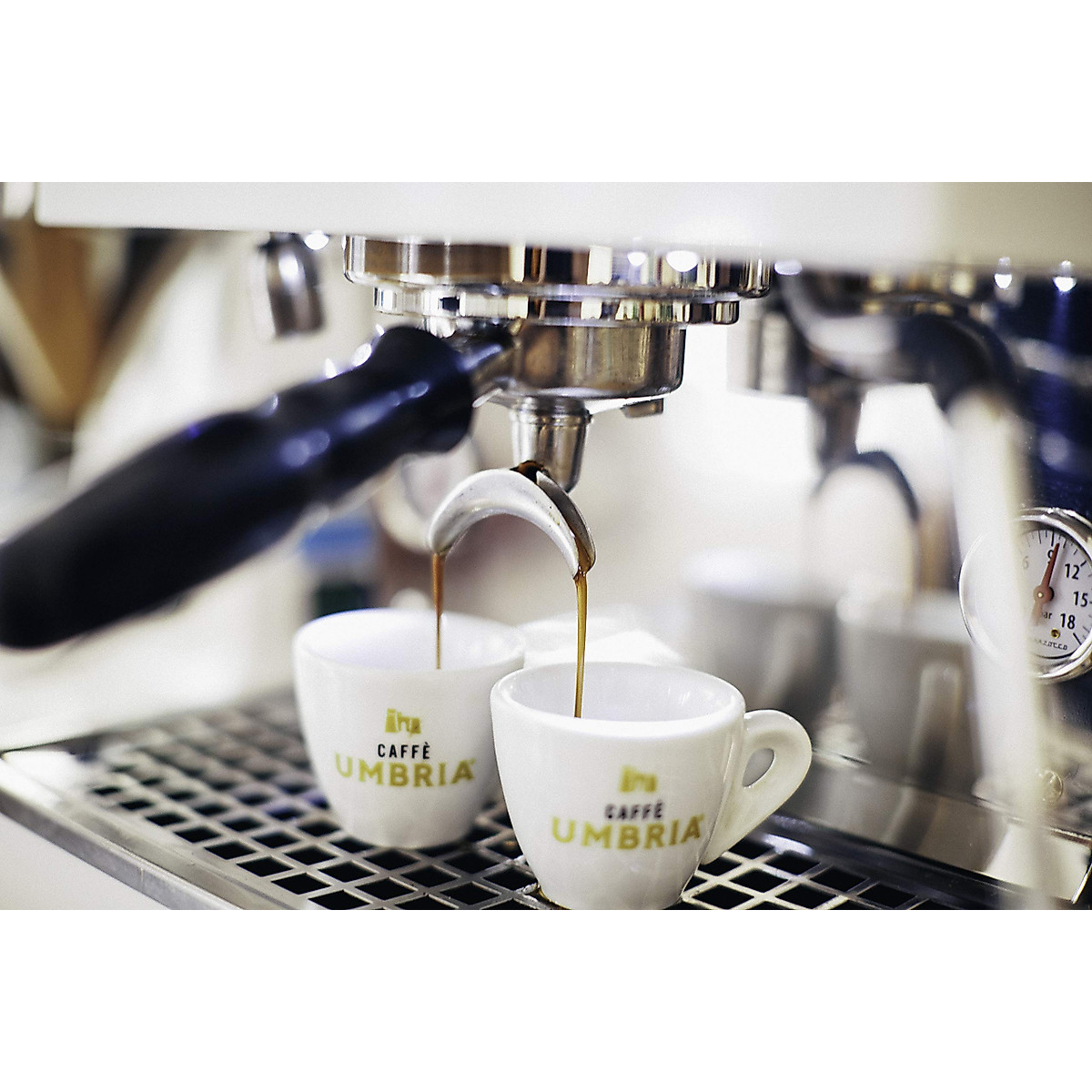 Caffe Umbria Fresh Seattle Whole Bean Roasted Coffee, Gusto Crema Blend Medium Roast, 12 oz. Bag