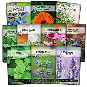 Sow Right Seeds - Large Herbal Tea Garden Seed Collection - Lemon Balm, Mint, German Chamomile, Lavender, Echinacea, Holy Basil, Calendula, Borage, Hyssop, Peppermint Non-GMO Heirloom Seeds